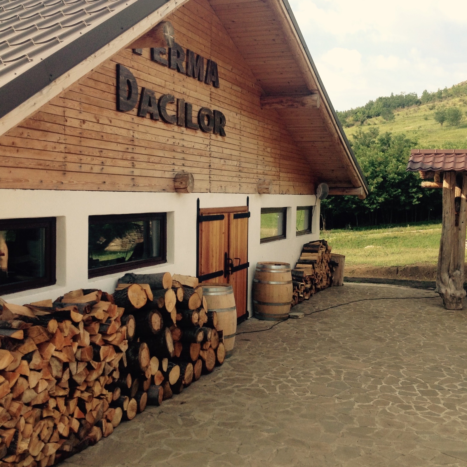 La Ferma Dacilor sau ”Ce mănânci tu, pui de dac?” - Foodsterescu